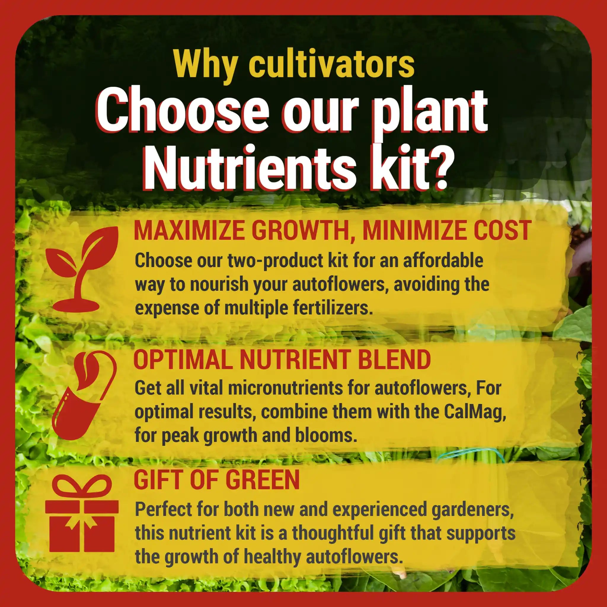 Bonnie & Clyde #1 Autoflower Base Kit | Cronk Nutrients